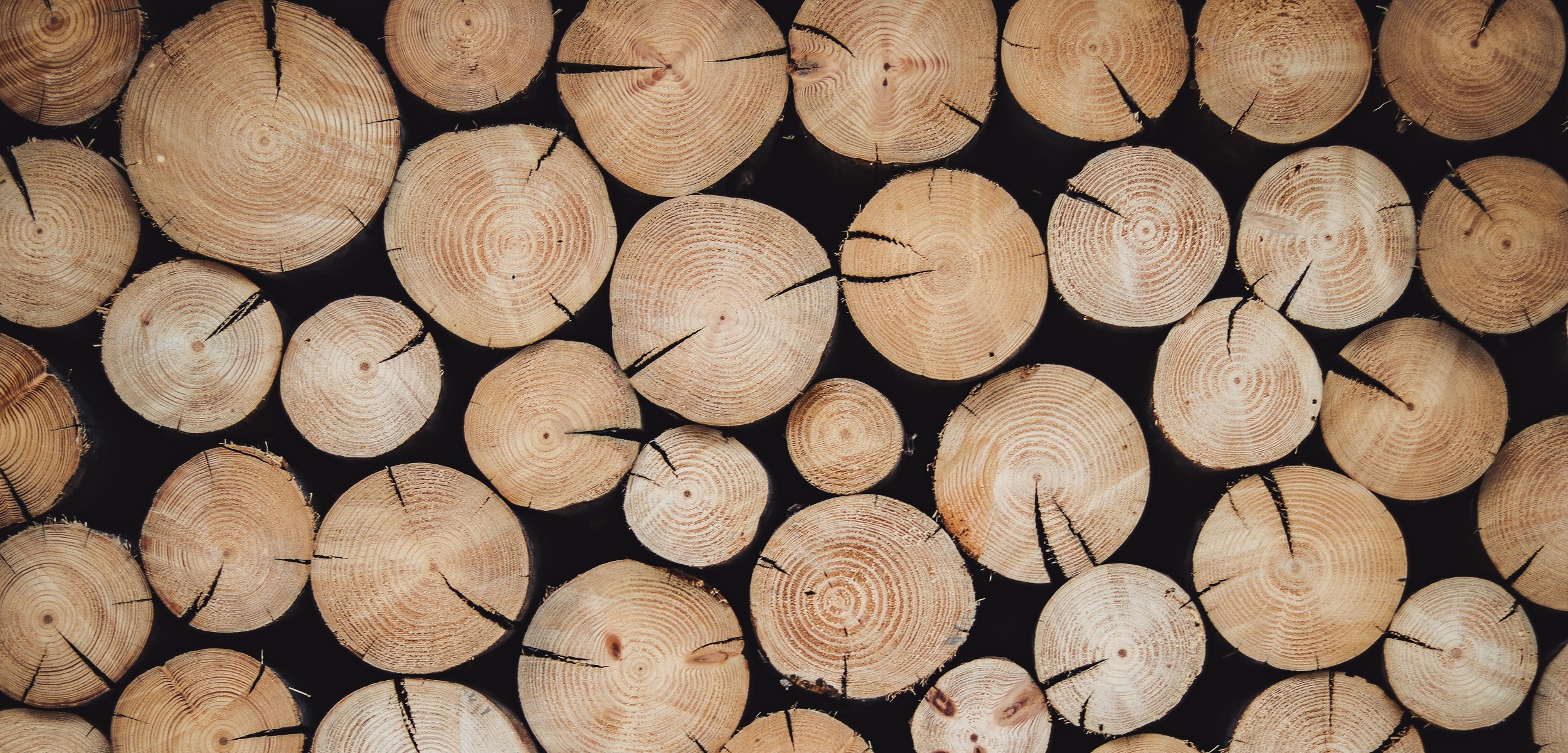 Le bois, pour un chauffage économique et écologique | ATRA Le bois, pour un chauffage économique et écologique | ATRA